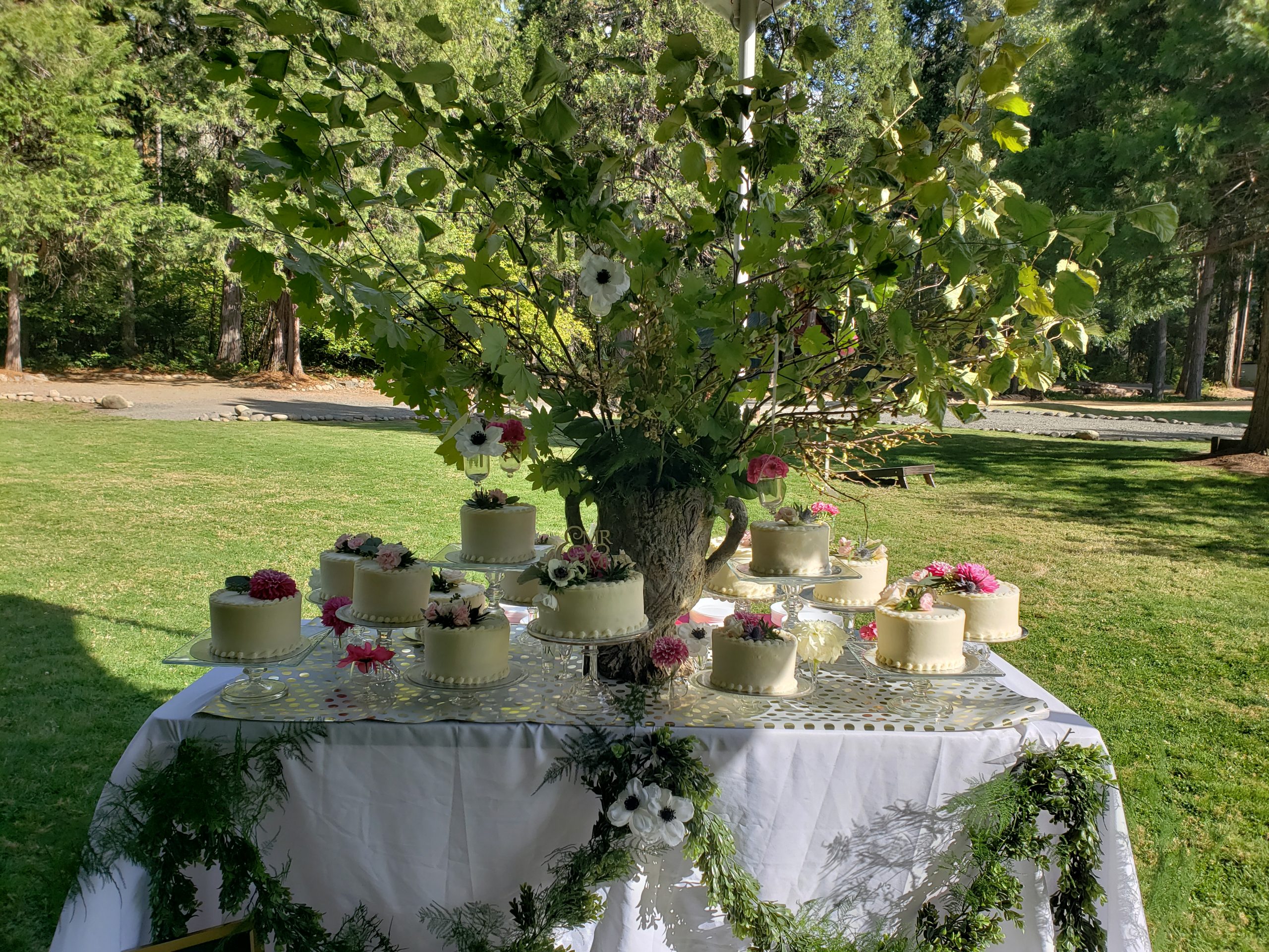 12 - Holiday Farm Resort Wedding Venue