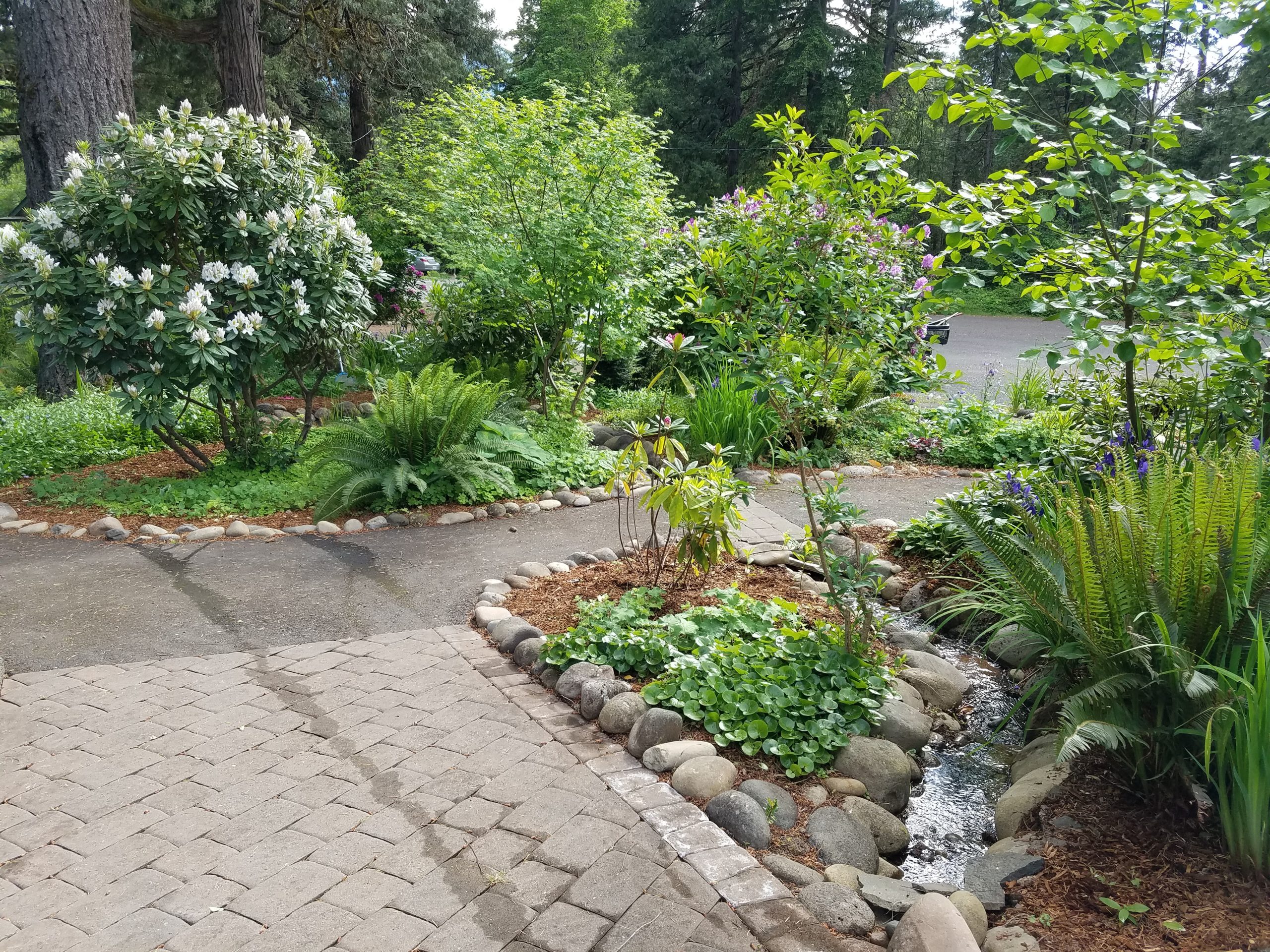 26 - Holiday Farm Resort Wedding Venue